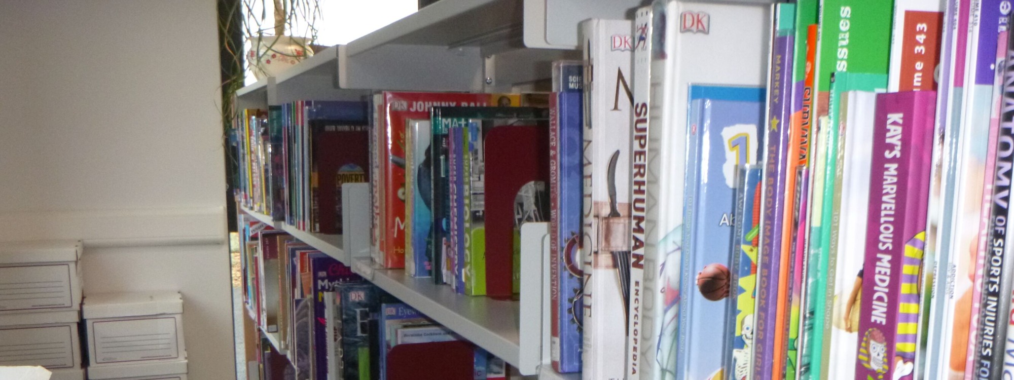 Library - South Molton Community College